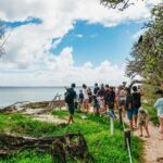 Bundaberg: Lady Musgrave Island and Great Barrier Reef Tour - How Good Is the Value?