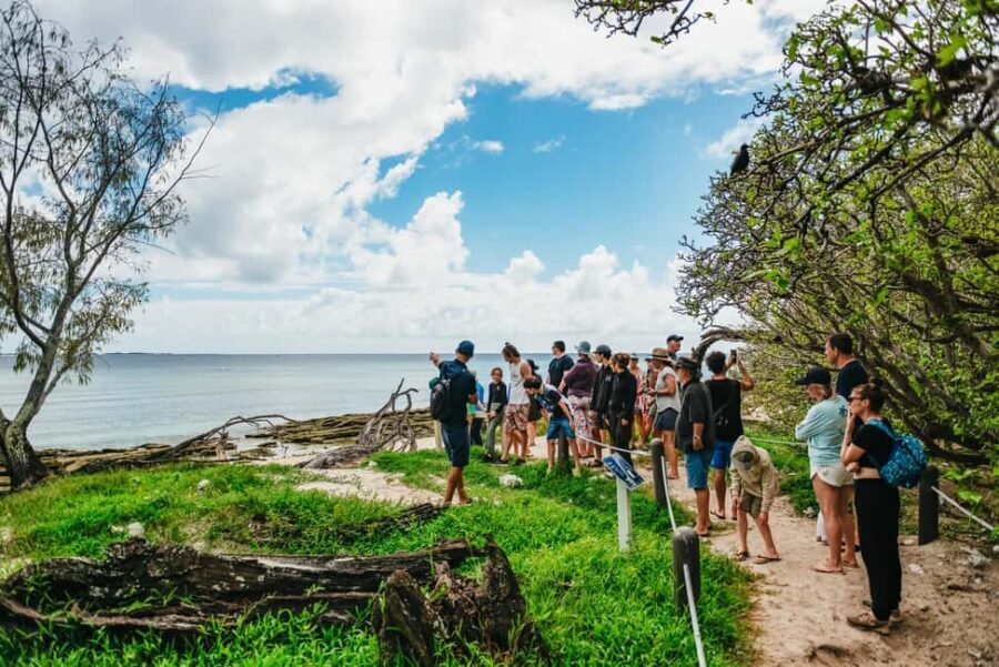 Bundaberg: Lady Musgrave Island and Great Barrier Reef Tour - How Good Is the Value?