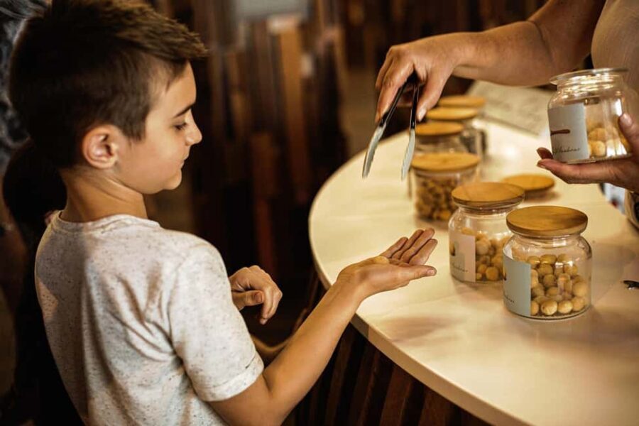 Bundaberg: Macadamia Orchard Tour with Tastings - The Experience: A Closer Look at the Itinerary