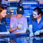 Bundaberg: Monsoon Aquatics Coral Farm Guided Tour - Practical Tips for Visitors