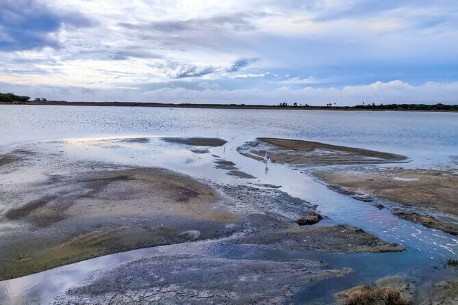 Bundala National Park Safari from Dikwella - The Experience in Detail