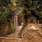 Buried Village of Te Wairoa - What Is the Buried Village of Te Wairoa?