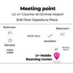 Busan Airport: Traveler SIM and Public Transportation Card - Detailed Breakdown of the Experience