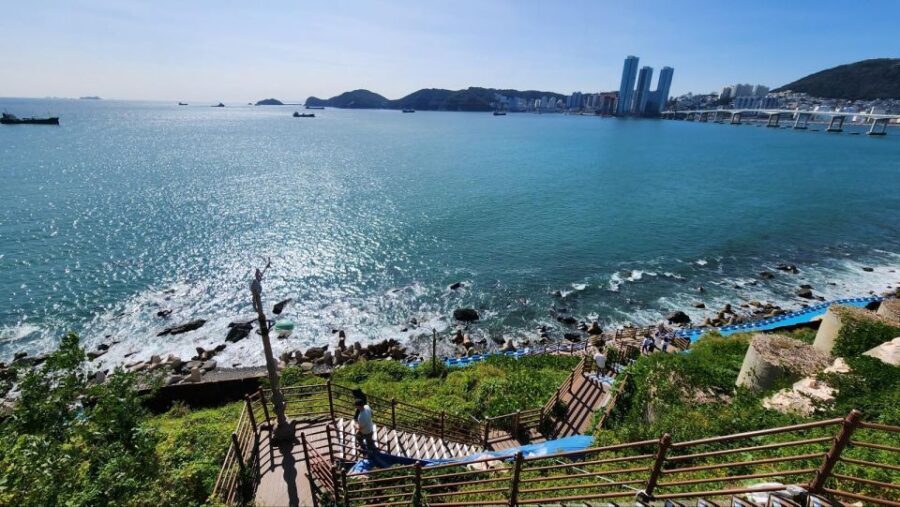 Busan: Bongnaesan Hiking Tour with Local Lunch - Who Will Love This Tour?