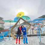Busan Cruise Port - VIP Group Tour (Max 6 Guests) - The Practicalities: What You’ll Get and What to Keep in Mind