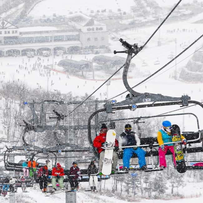 Busan: Eden Valley Resort Winter Ski Snowboard Sled Day Tour - Who This Tour Is Best For