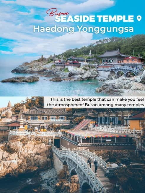 Busan: Full-Day Tour Unmissable things to do in Busan - Who Would Enjoy This Tour?