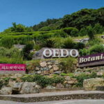 Busan: Geoje Coastal Escape, Sea Breeze& Oedo Botania Island - The Practicalities: Transport, Cost, and Duration