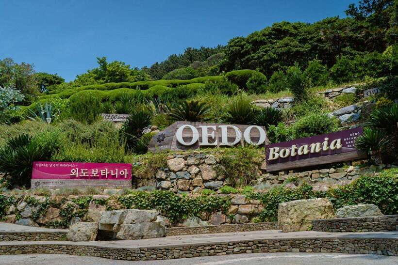 Busan: Geoje Coastal Escape, Sea Breeze& Oedo Botania Island - The Practicalities: Transport, Cost, and Duration