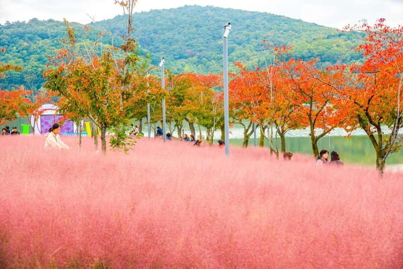 Busan: Gyeongju Autumn Foliage Day Tour with Historic Sites - Bomun Lake and the Scenic Foliage