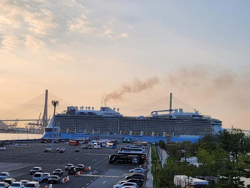 Busan shared Tour for Cruise Ship Passengers Max 15 guests - How This Tour Works: Logistics & Practicalities