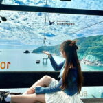 Busan: Sightseeing Tour for Cruise Passengers - Authentic Experiences and Real Insights from Travelers