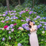Busan: Taejongdae, Air Cruise, Gamcheon Village & Beach - What’s Included and What Not