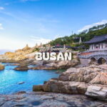 Busan: Top Attractions One-Day Guided Tour - Introduction: Why This Busan Tour Is Worth Considering