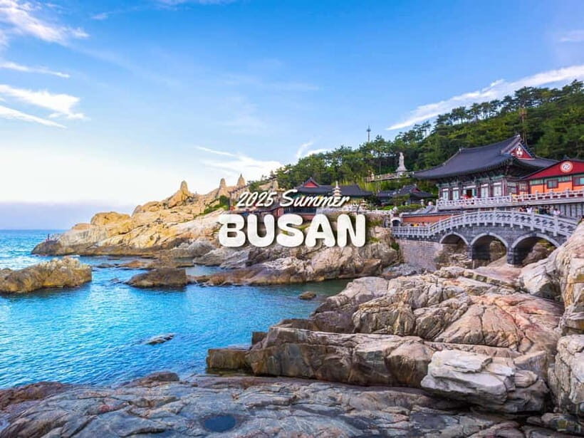 Busan: Top Attractions One-Day Guided Tour - Introduction: Why This Busan Tour Is Worth Considering