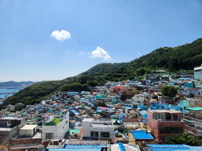 Busan Tour with Gamcheon Village & haedong yonggungsa temple - Who Will Love This Tour?
