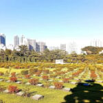 Busans Untold History: Japanese Occupation & Korean War - Final Thoughts