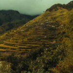 BUSCALAN MEETING APO WANG-OD WITH BANAUE RICE TERRACES - Why We Think This Tour Offers Real Value