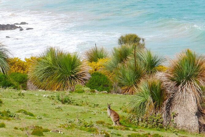 Bush and Bay in a Day - The Practical Side: What to Know