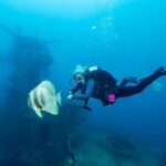 Busselton / Dunsborough : HMAS Swan Wreck Scuba Dive - Final Thoughts