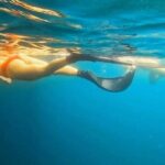 Busselton Jetty and Underwater Sculptures Snorkel Boat Tour - Detailed Breakdown of the Experience