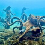 Busselton: Jetty Snorkeling Tour with Underwater Sculptures - Authentic Experiences and Authenticity