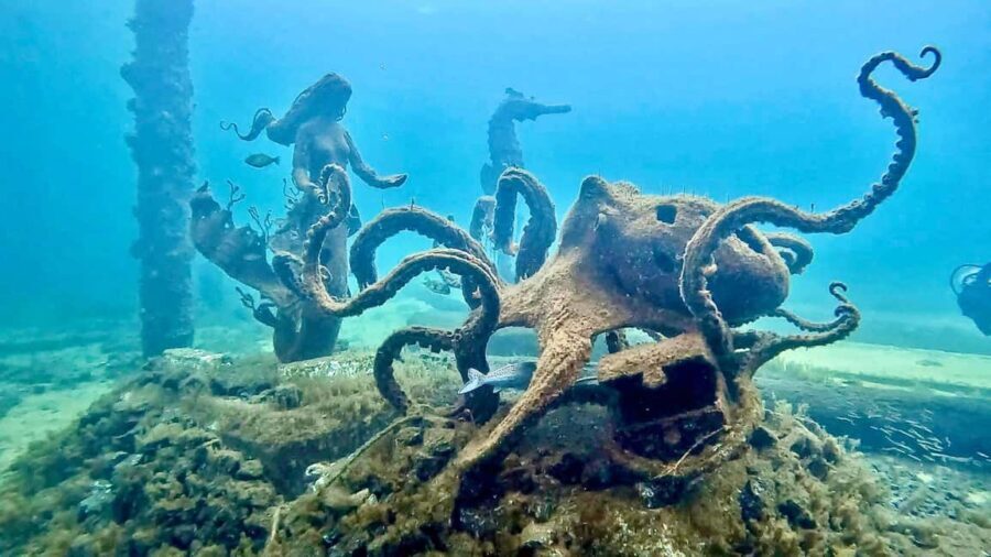 Busselton: Jetty Snorkeling Tour with Underwater Sculptures - Authentic Experiences and Authenticity