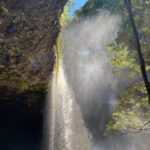 Byron Bay: Behind The Bay Waterfalls & Hidden Gems Day Tour - Who Should Consider This Tour?