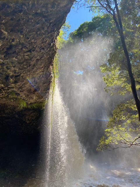 Byron Bay: Behind The Bay Waterfalls & Hidden Gems Day Tour - Who Should Consider This Tour?