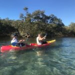 Byron Bay: Brunswick River Scenic Kayak Tour - Final Thoughts: Who Will Love This Tour?
