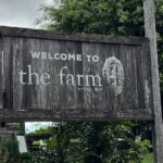 Byron Bay Day Tour: Lighthouse Sunset, The Farm and Hidden Trails - Whats Included and Whats Not