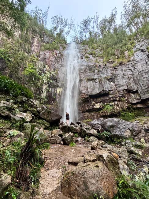 Byron Bay: Glowworms, Waterfalls & Rainforest Experience - What’s Included and How the Day Unfolds