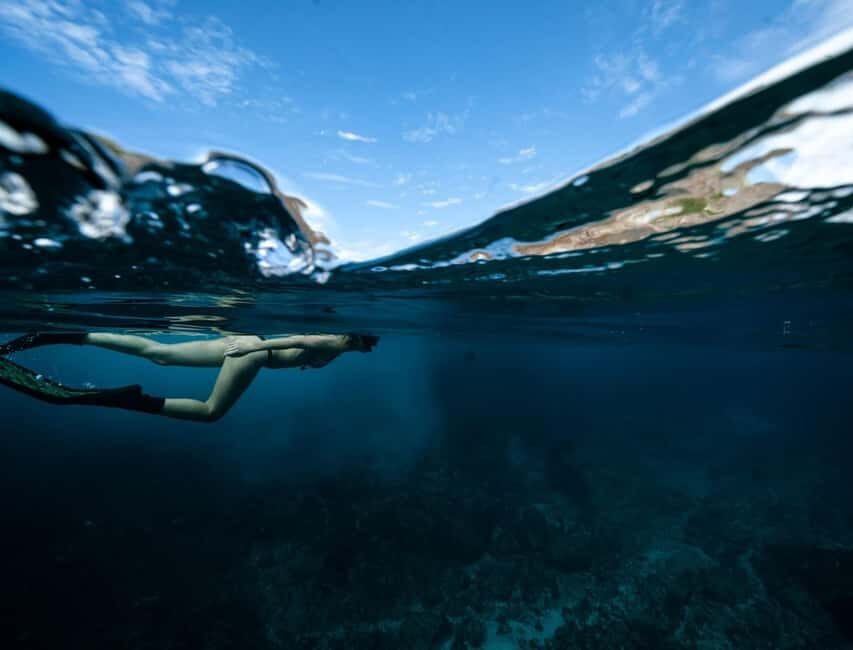 Byron Bay: Snorkeling Tour at Julian Rocks, Nguthungulli - The Snorkeling Experience: Encountering Marine Marvels