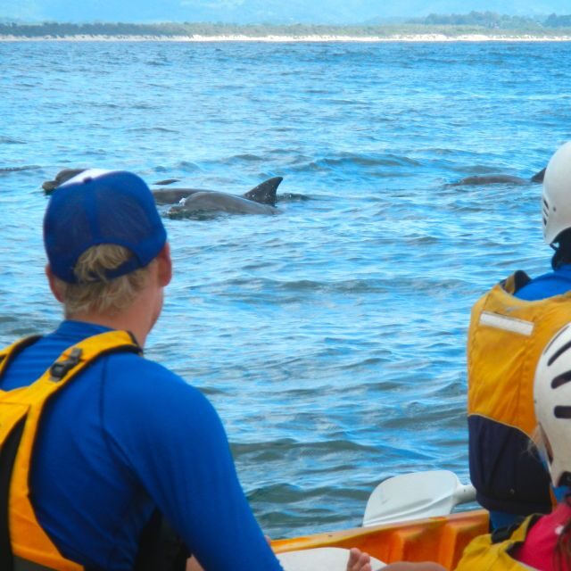Byron Bay: The Byron Bay Sea Kayak Tour - What to Expect During the Tour