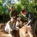 Byron Bay Wildlife Sanctuary Entry Ticket - The Experience: How It Feels and What It Means