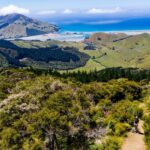 Cable Bay Adventure Park: E-bike hire - The Sum Up: Who Should Consider Cable Bay E-bike Hire?