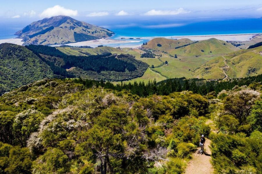 Cable Bay Adventure Park: E-bike hire - The Sum Up: Who Should Consider Cable Bay E-bike Hire?