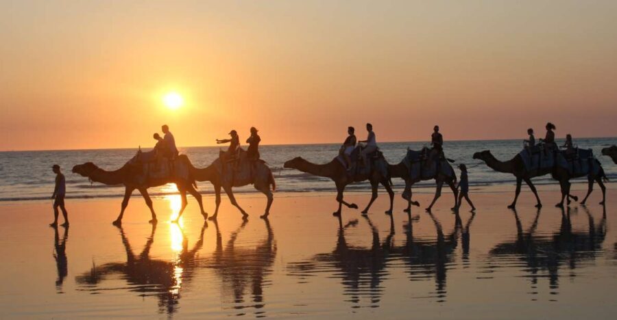Cable Beach: 1-Hour Sunset Camel Ride - Authenticity and Value