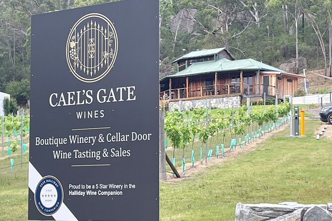Cael's Gate Wine and Ploughmans Lunch in Hunter Valley - What We Loved and What to Consider