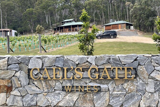 Caels Gate Wine Tasting in Hunter Valley - Who Will Enjoy This Experience?