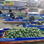 Cai Rang Floating Market and Mekong Delta from Saigon - What Travelers Say