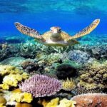 Cairns Airport Transfers - Why Choose Private Transfers?