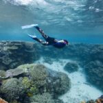 Cairns: All-Inclusive Great Barrier Reef Half-Day Snorkeling - Real-World Insights from Travelers