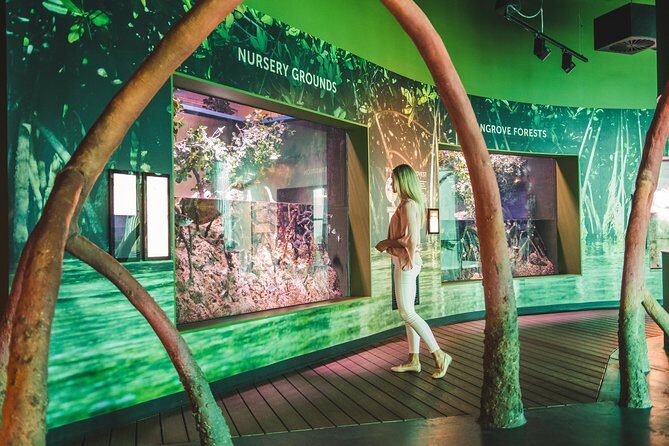 Cairns Aquarium Admission Ticket - The Itinerary: What to Expect During Your Visit