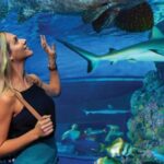 Cairns Aquarium General Admission Ticket - In The Sum Up: Why Visit Cairns Aquarium?
