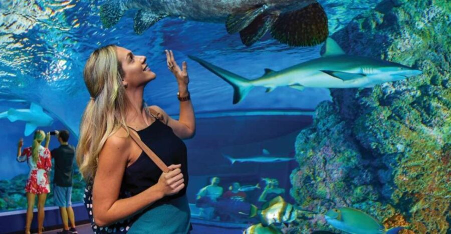 Cairns Aquarium General Admission Ticket - In The Sum Up: Why Visit Cairns Aquarium?