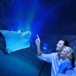 Cairns: Aquarium Guided Twilight Tour with 3-Course Dinner - Practical Details and Considerations
