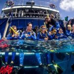 Cairns: Best Value All-inclusive Reef Trip With Scuba Dive - The Value Proposition