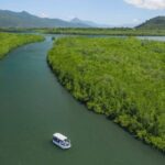 Cairns Combo: Cairns River Cruise & Small group Cairns City Sights - What the Tour Means for You