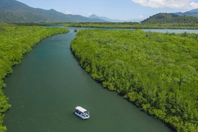 Cairns Combo: Cairns River Cruise & Small group Cairns City Sights - What the Tour Means for You